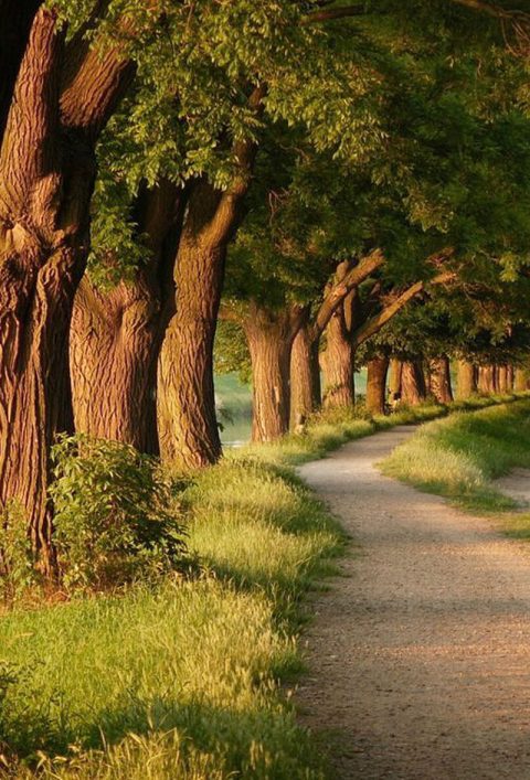 Über uns | treeworks